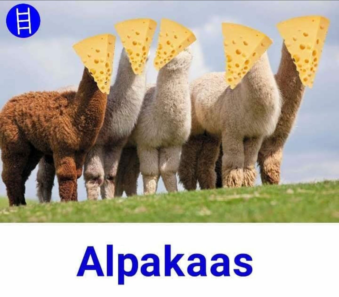 25 flauwe grappen om je dag wat dragelijker te maken - Ladderzat