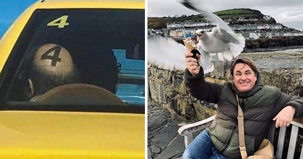 12 foto's die op het perfecte moment zijn vastgelegd - Ladderzat